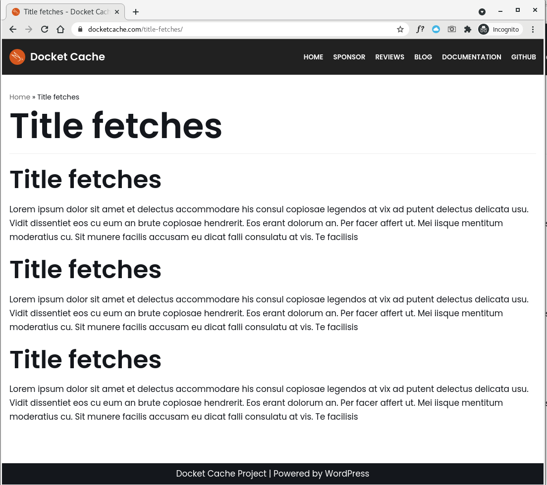 Object Caching In Simple Term - Docket Cache